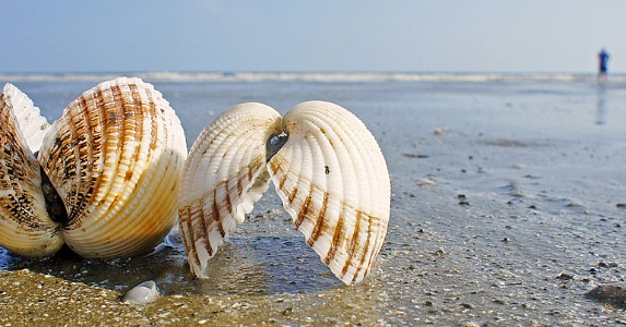 Top US Beaches For Families