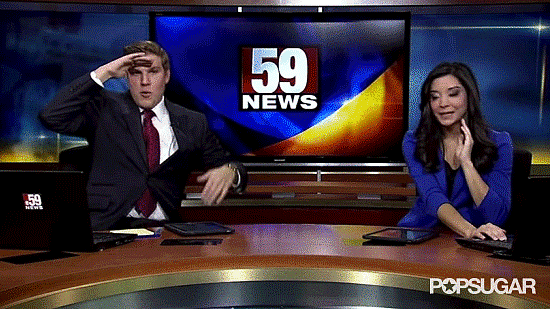 Dancing News Anchor's Co-Anchor GIFs | POPSUGAR Celebrity