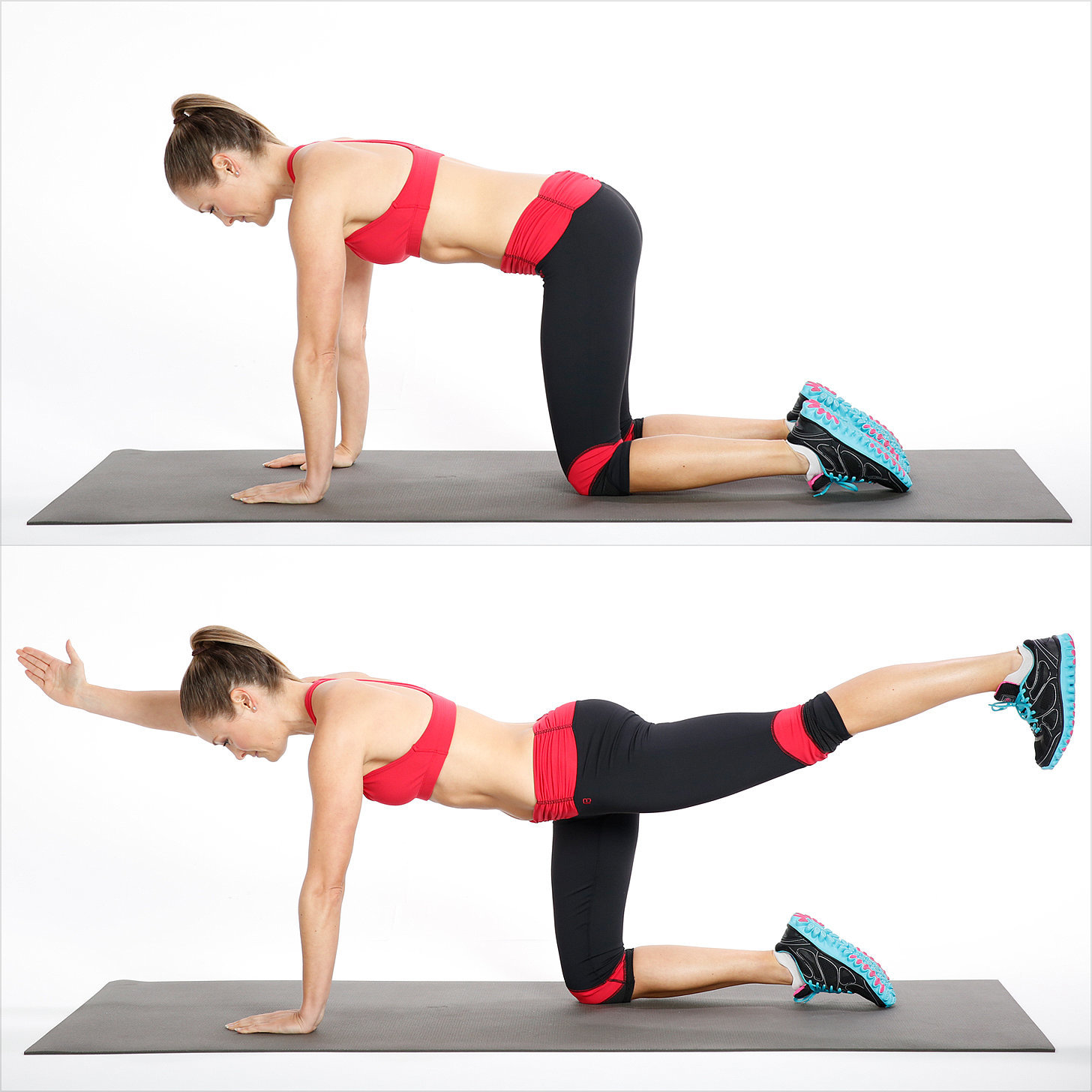 How To Do Bird Dog Exercise For Your Back POPSUGAR Fitness How To Do Bird Dog Exercise For Your Back POPSUGAR Fitness