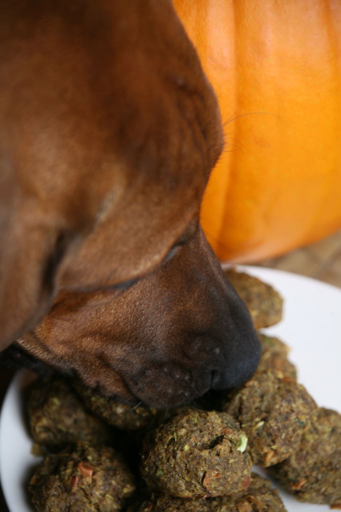 Dog-Friendly Meatball Recipe | POPSUGAR Pets
