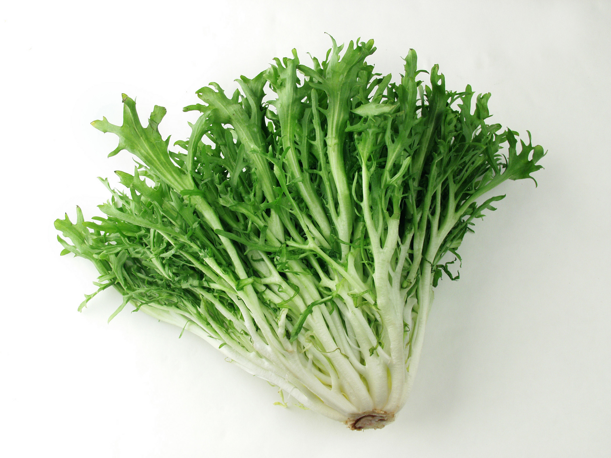 Frisee | POPSUGAR Food